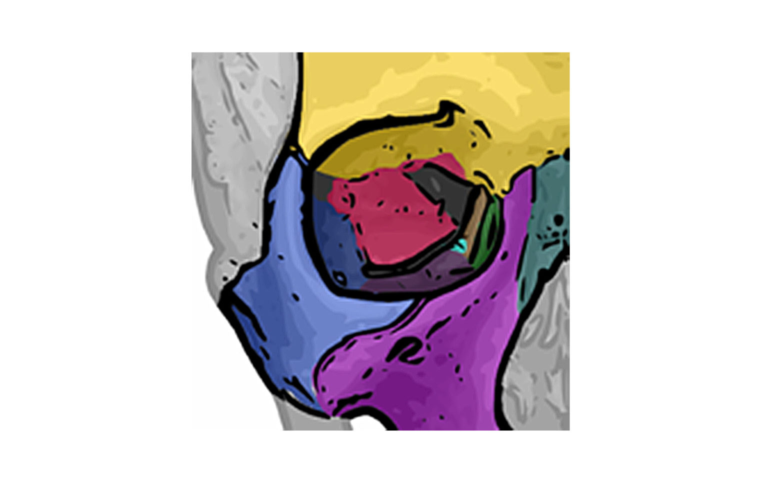 8 free open source software programs for pathology image analysis 8 free open source software programs for pathology image analysis