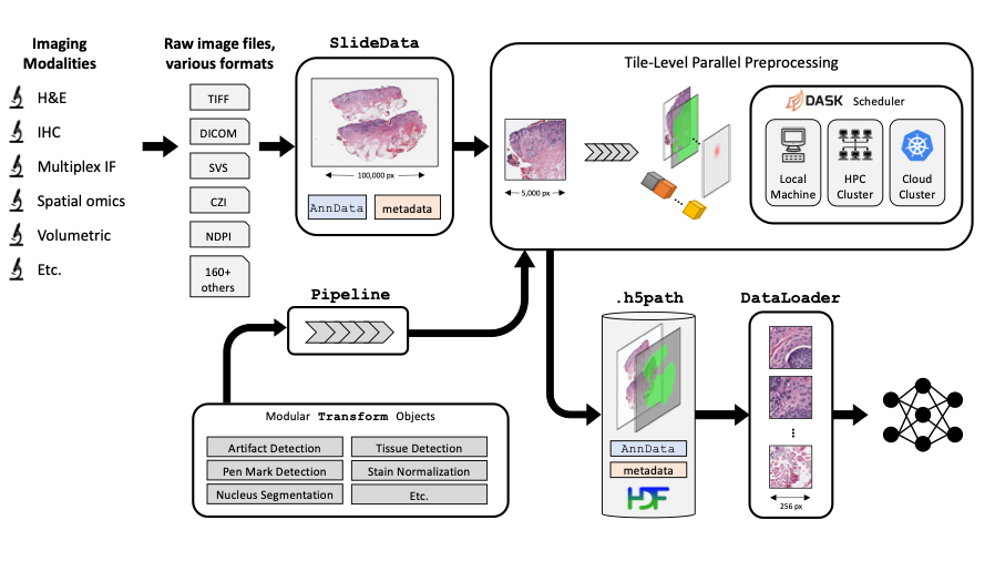 8 free open source software programs for pathology image analysis