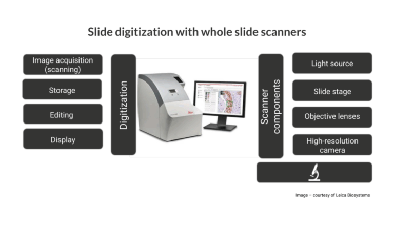 What Is Digital Pathology? The Complete Guide to Modern Tissue Diagnosis