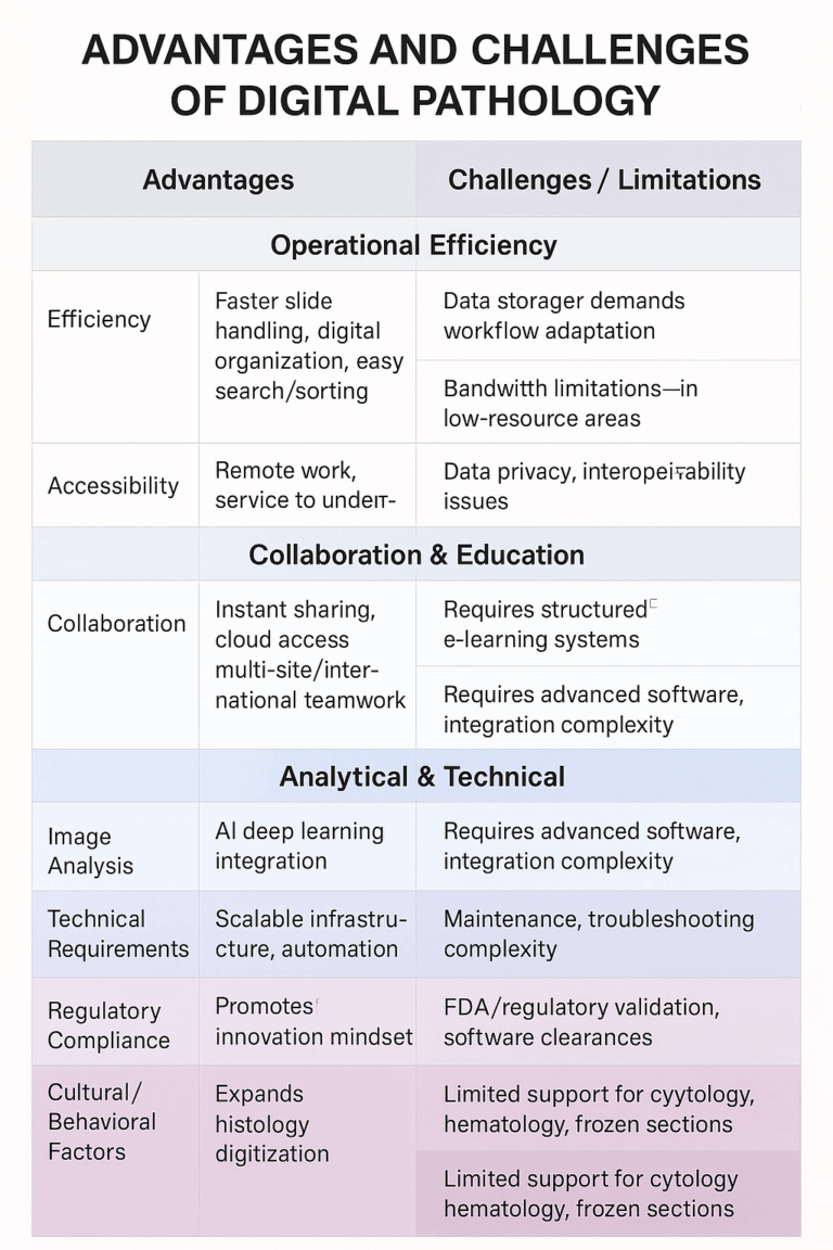 What Is Digital Pathology? The Complete Guide to Modern Tissue Diagnosis